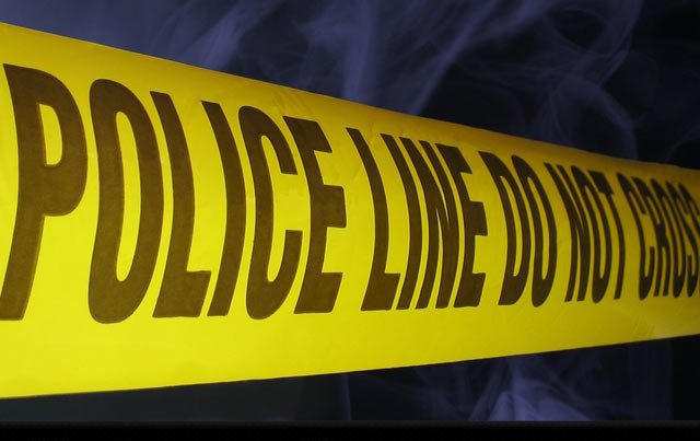 Dog fighting ring found in Biloxi – The Mississippi Link